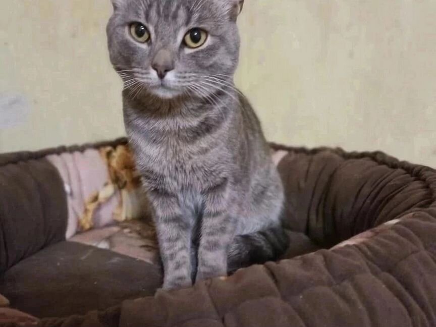 Вермут в добрые руки