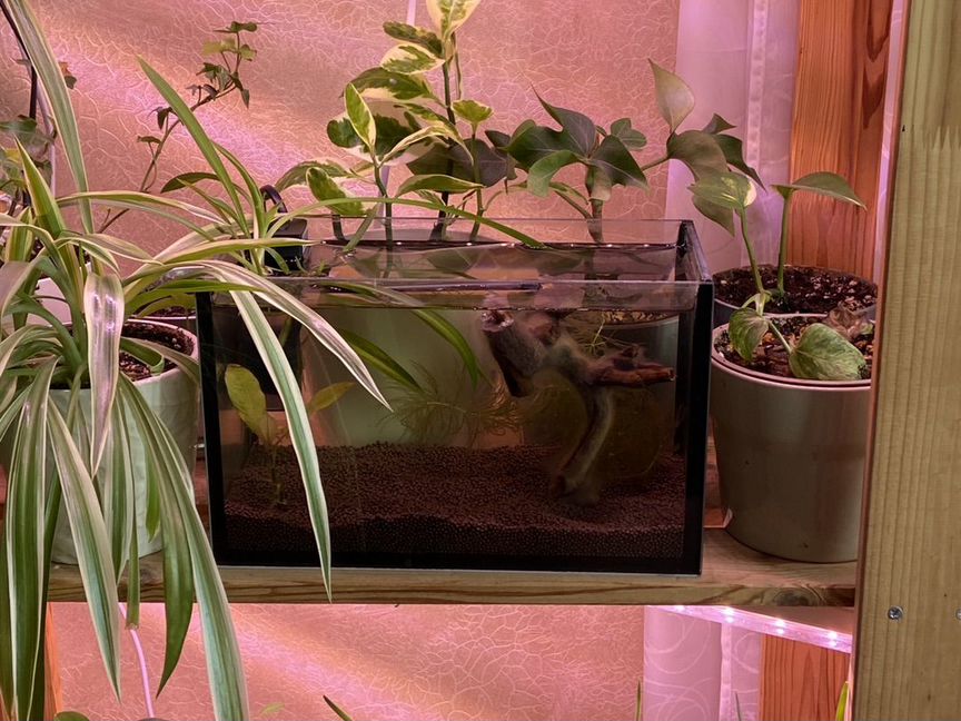 Аквариум с фильтром