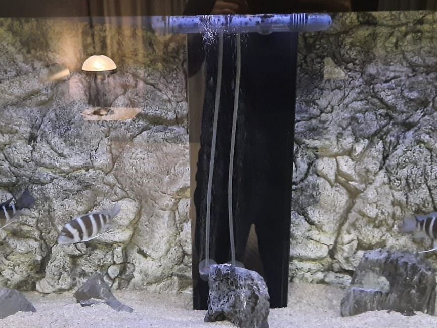 Аквариум с тумбой 400 литров