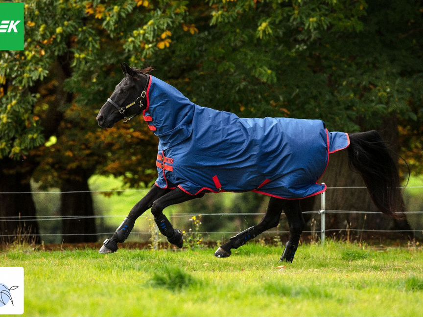 Попона дождевая MIO