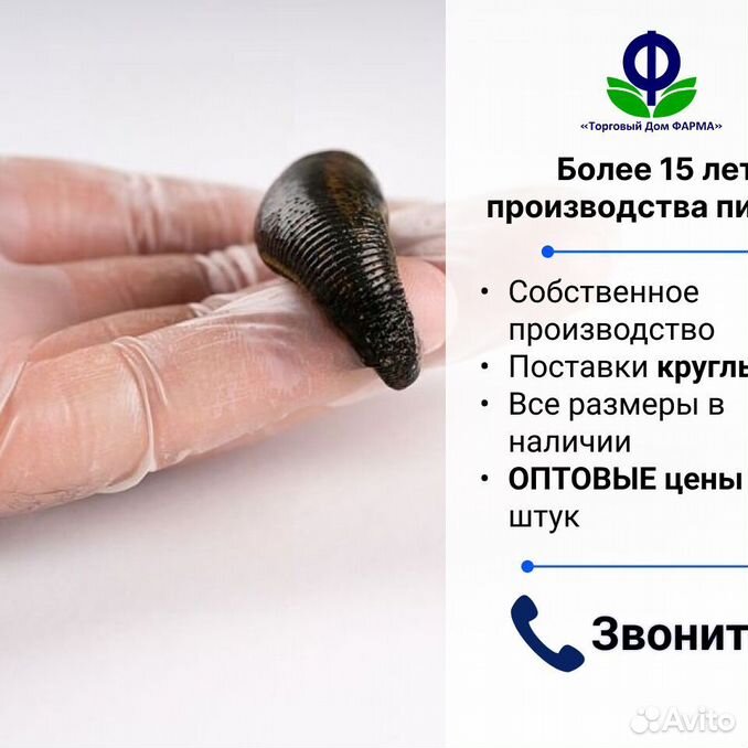 Пиявки медицинские. Любые размеры
