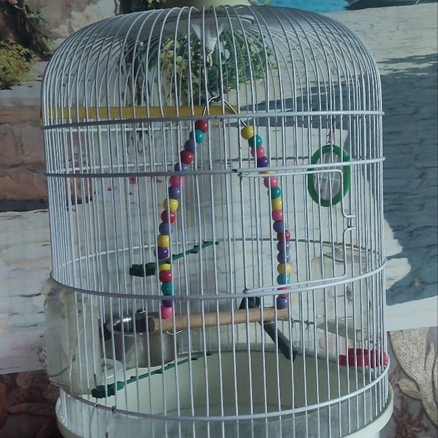 Клетка для попугая бу