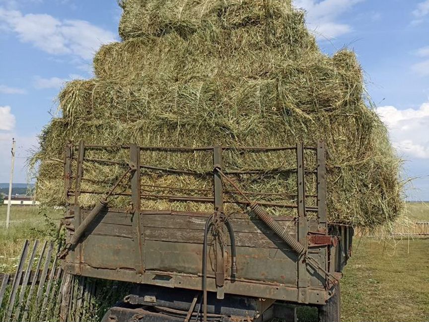 Продается сено в тюках и рулонах
