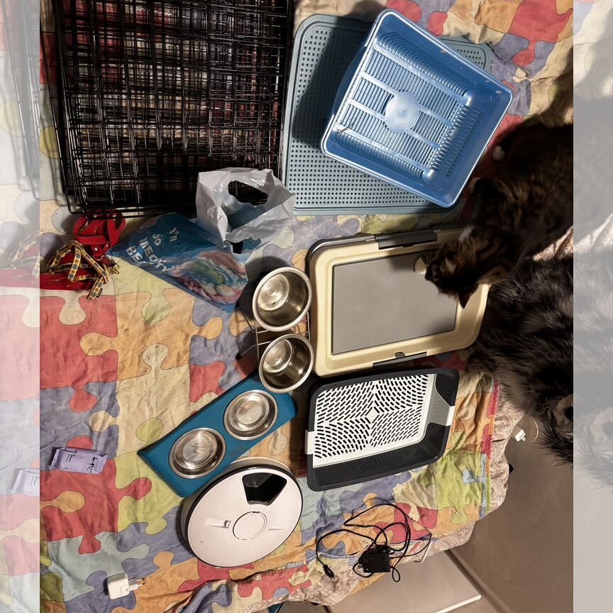 Для собак и кошек