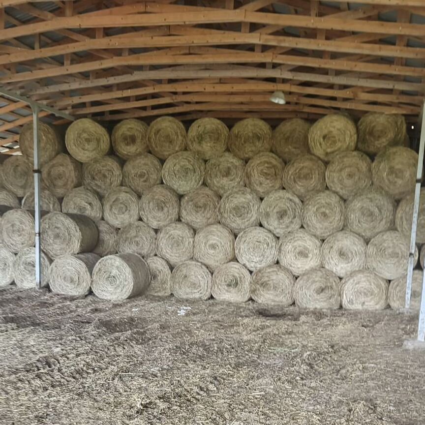 Продам сено в рулонах