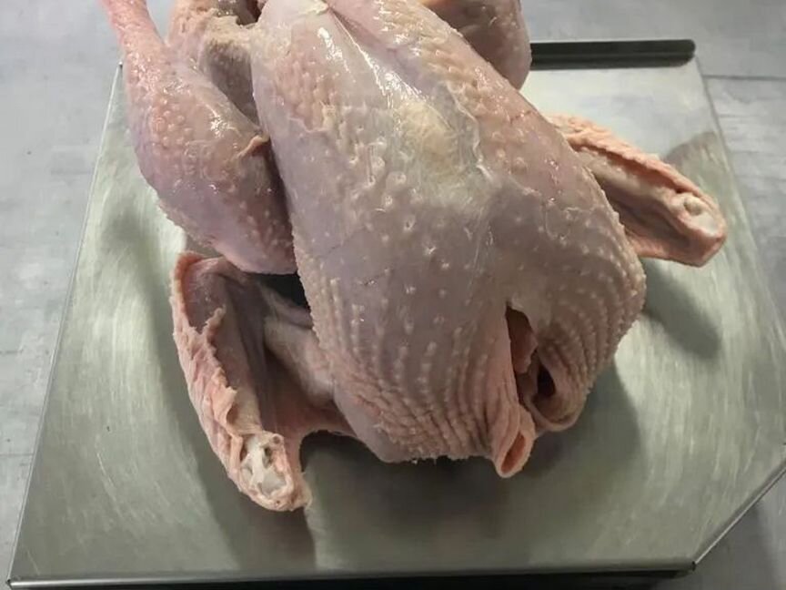 Тушки индейки