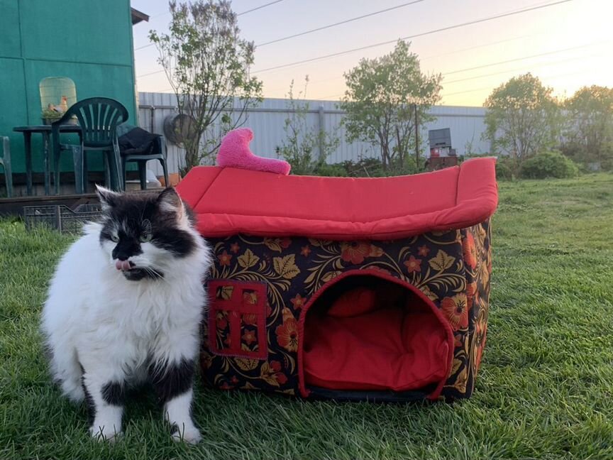 Кошачий домик