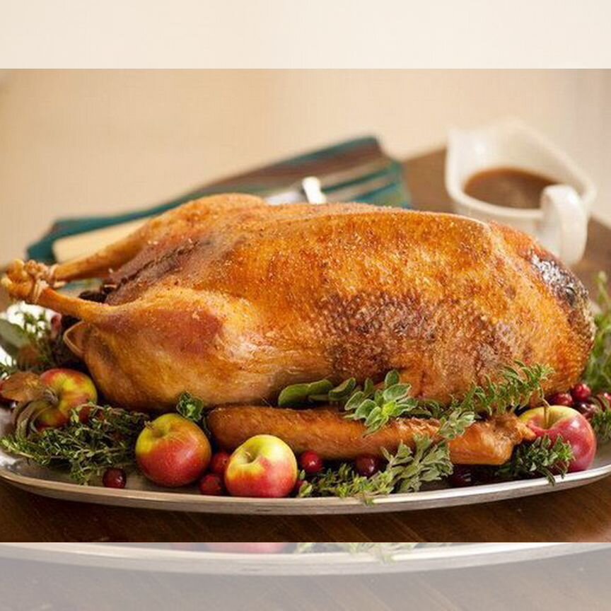 Гусь домашняе мясо