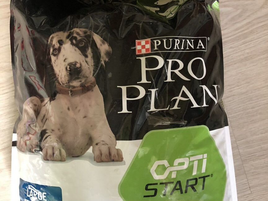 Корм для собак