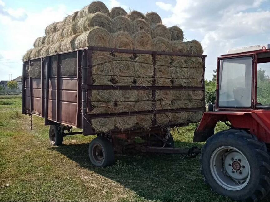 Сено в минирулонах