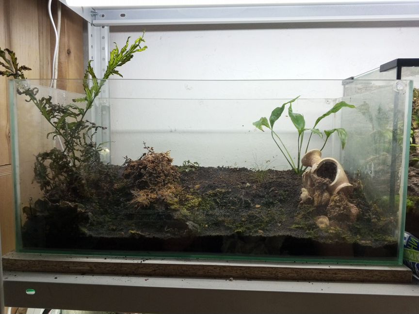 Аквариум и принадлежности для него