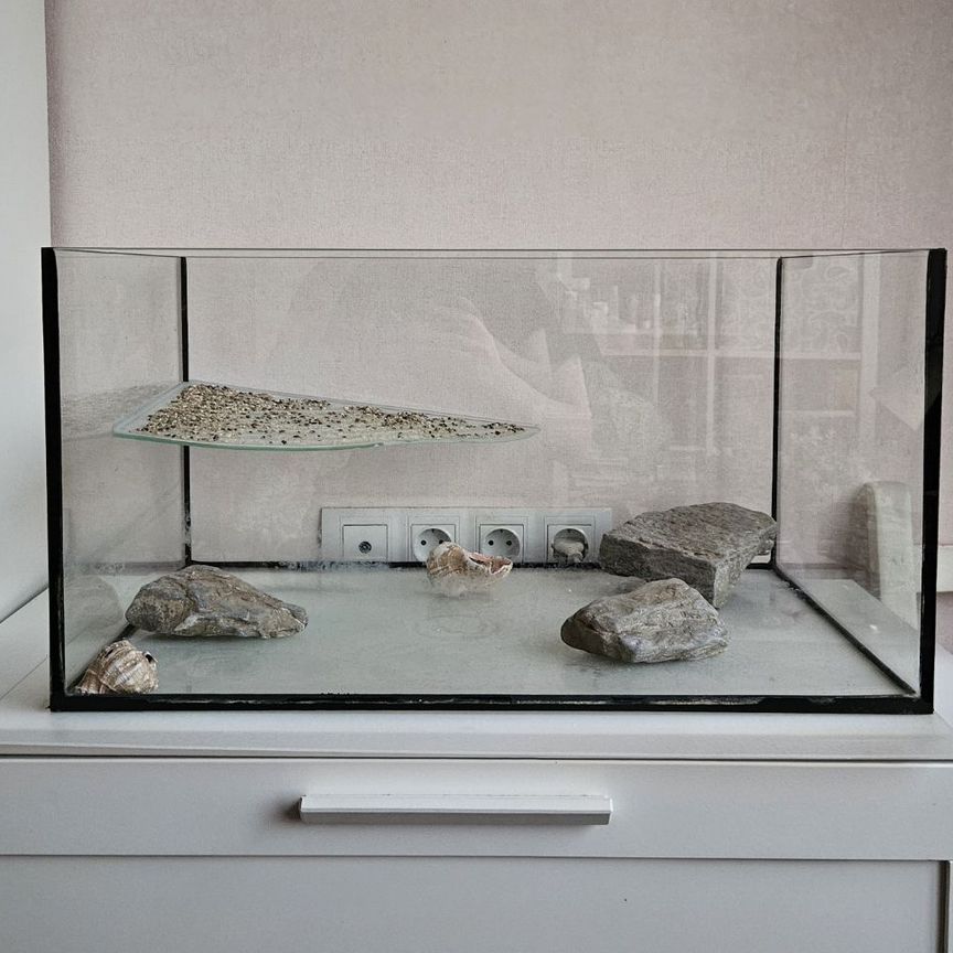 Аквариум с берегом