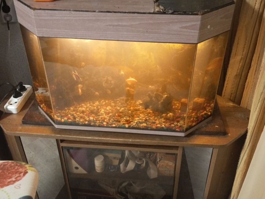 Аквариум с тумбой 250л