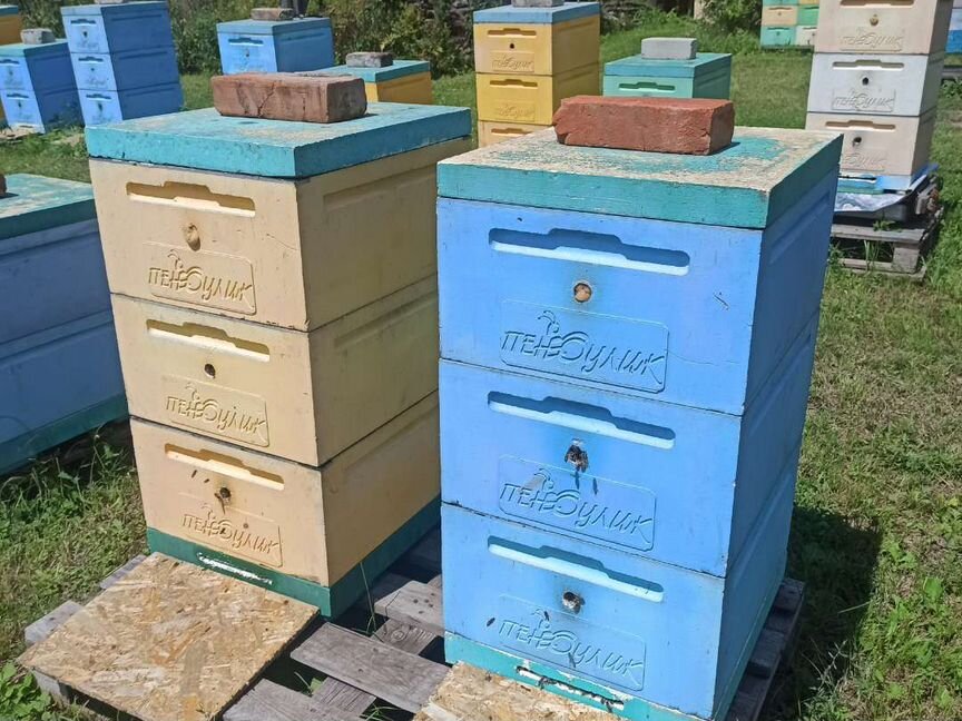 Ульи Пеноулик Рута 10шт