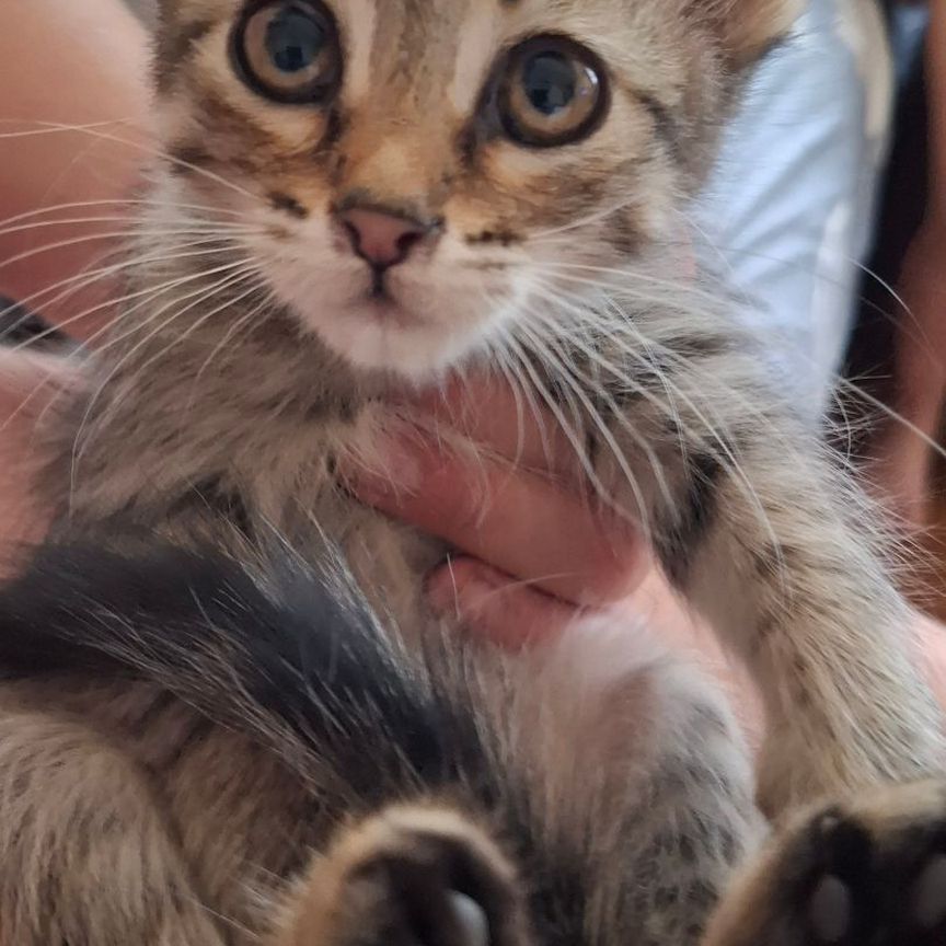 Очаровательный парень