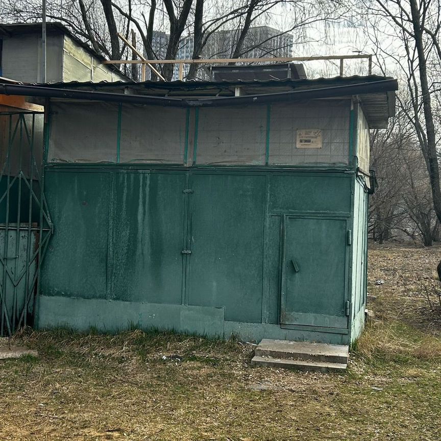 Голубятня с голубями