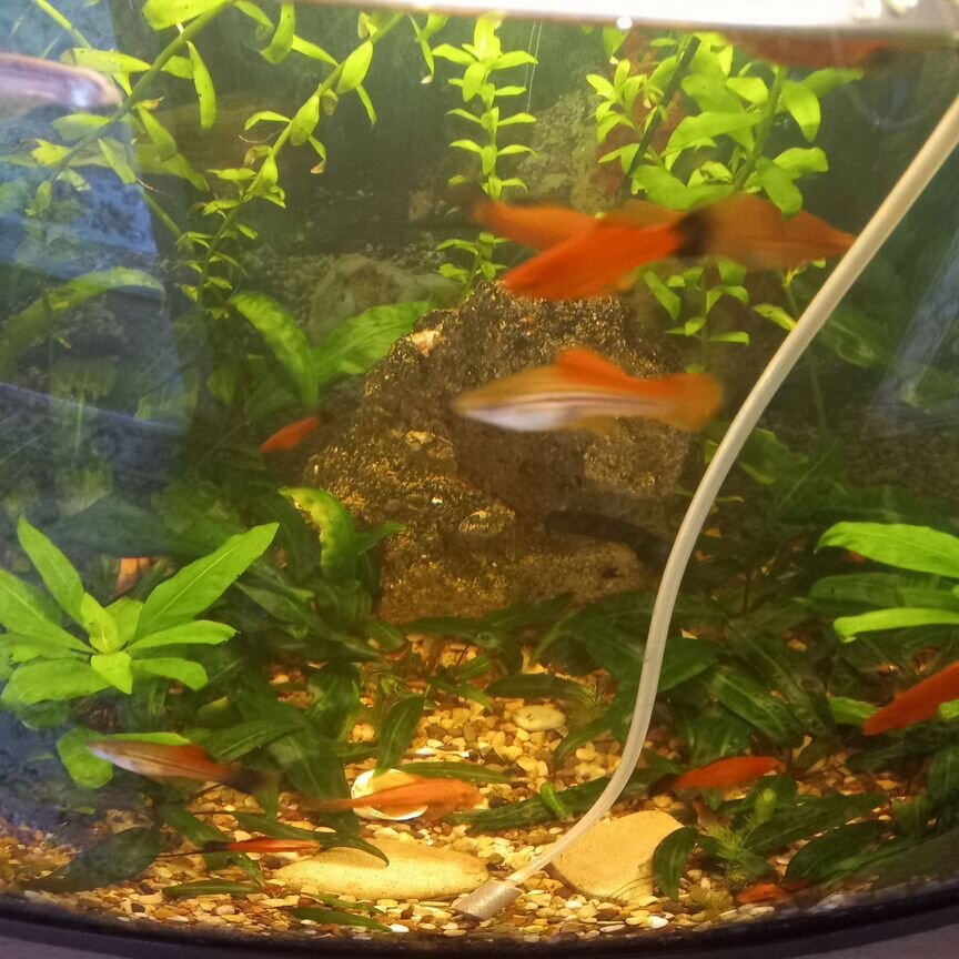 Украшение для аквариума