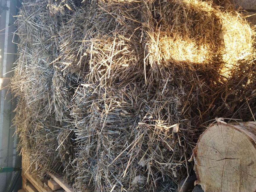 Сено в брикетах