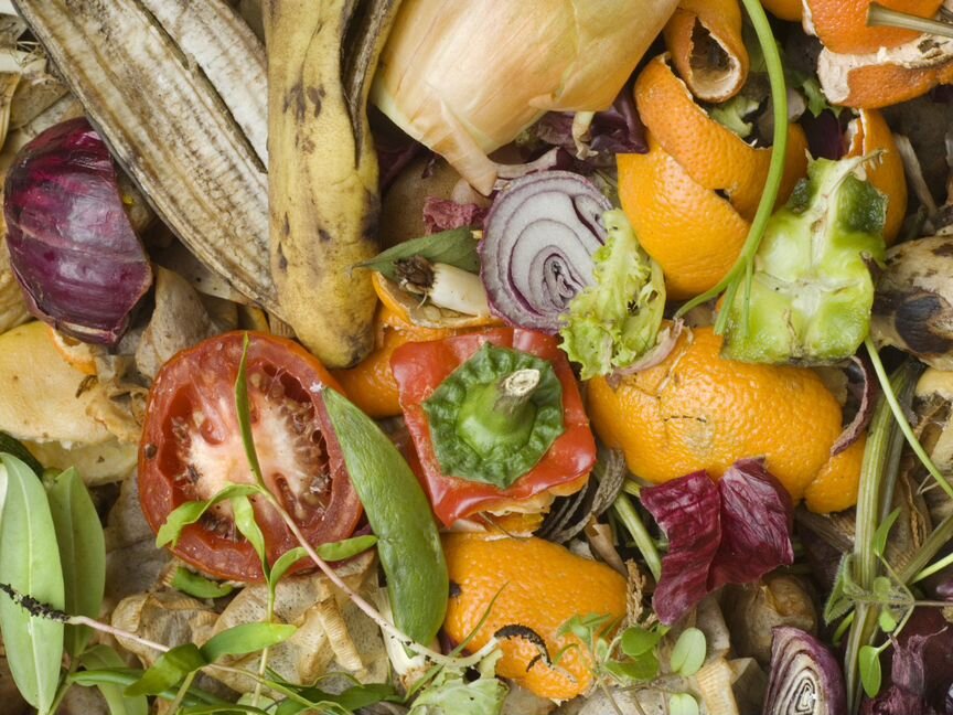 Продам пищевые отходы для свиней