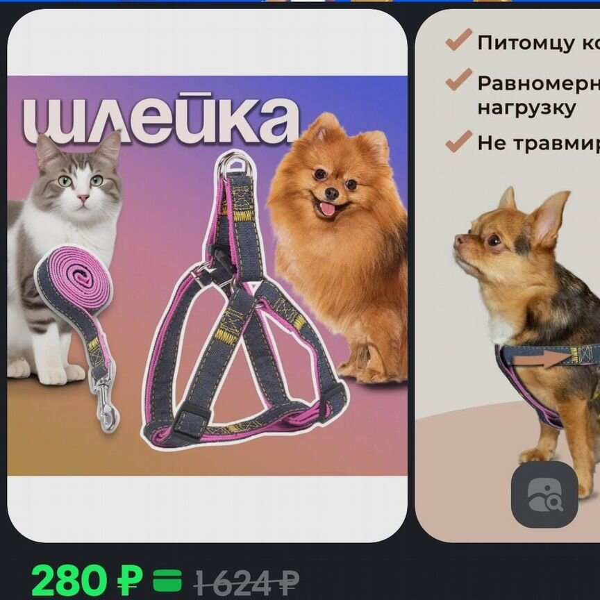 Рулетка 5 метром для собак и шлейка с поводуом