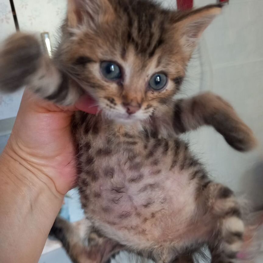 Невозможно пройти мимо