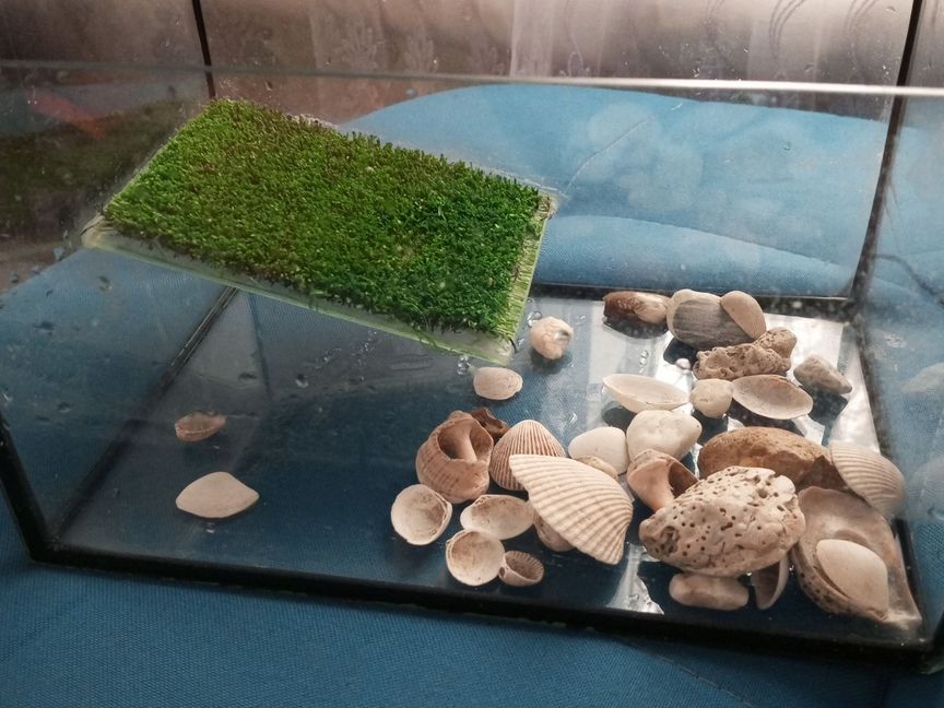 Аквариум для черепашки