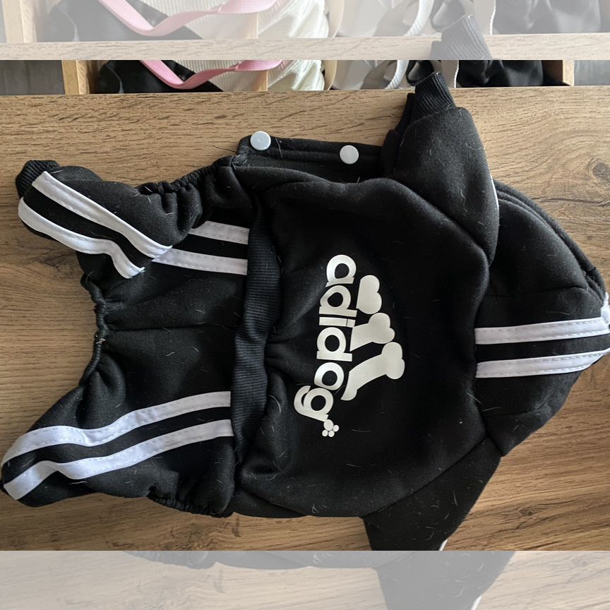 Одежда для собак мелких пород