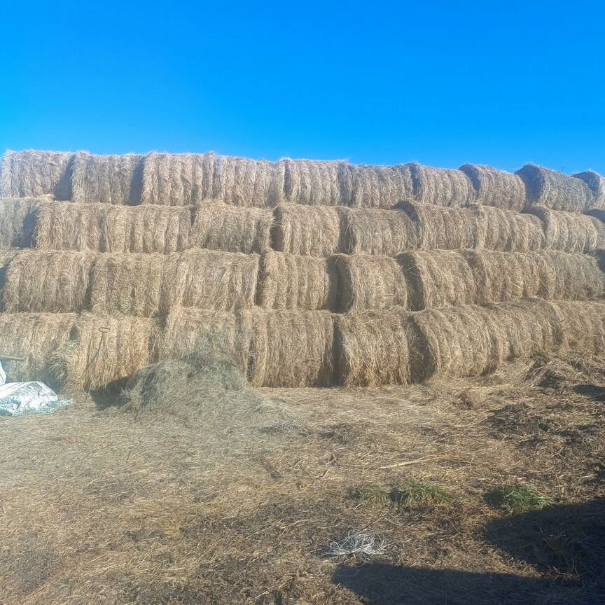 Продам сено в рулонах 300кг