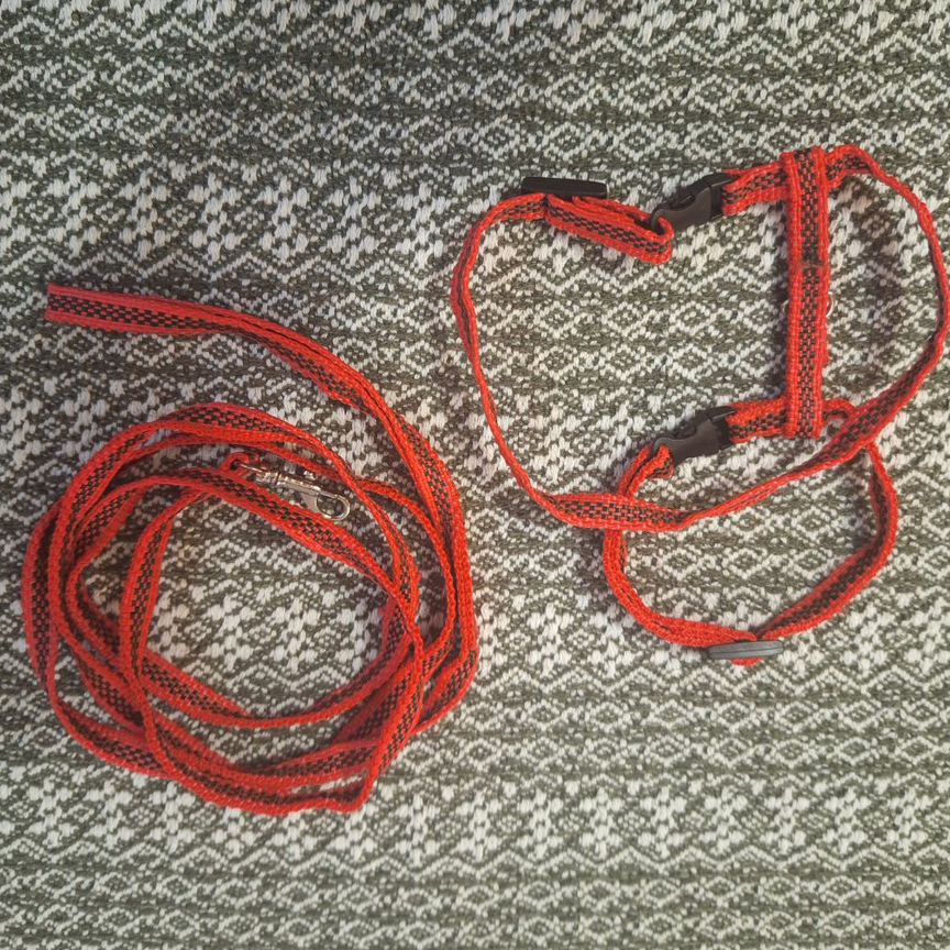 Шлейка для кошки