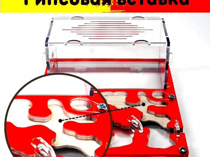 Муравьиная ферма красная, но не опасная