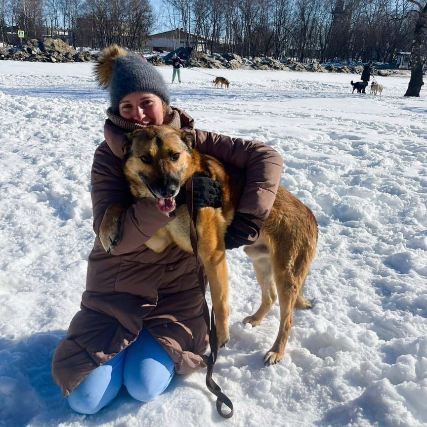 Собака из приюта ищет дом