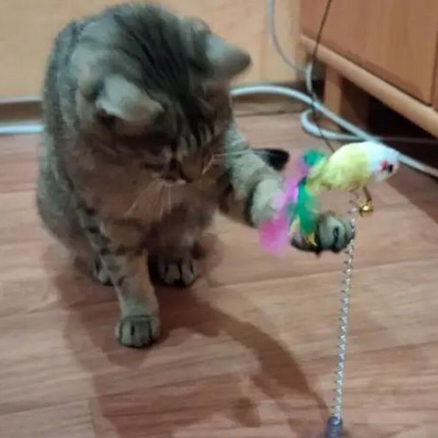 Игрушка для кота