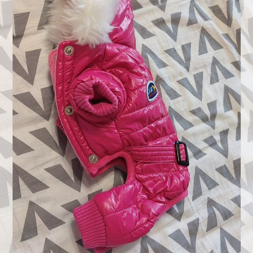 Одежда для собак мелких пород девочка