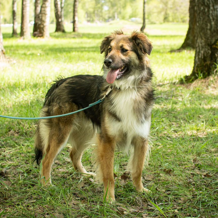 Годовалому Джонни очень нужен дом
