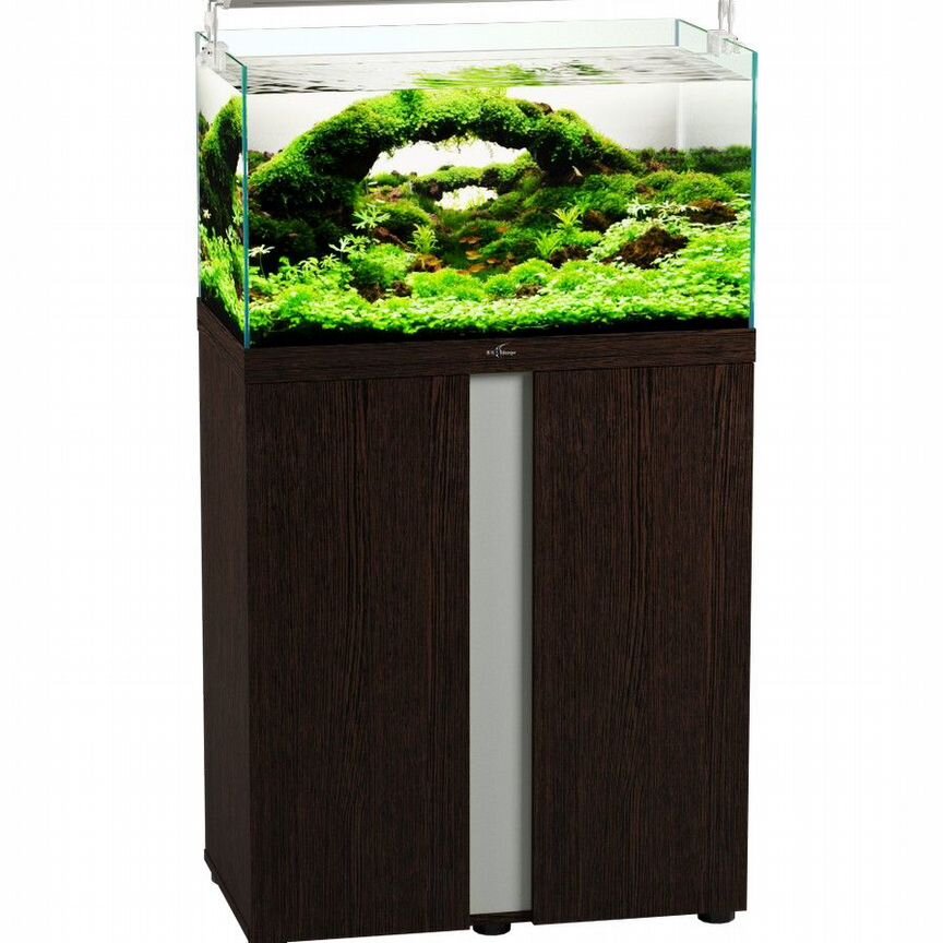 Аквариум Iwagumi