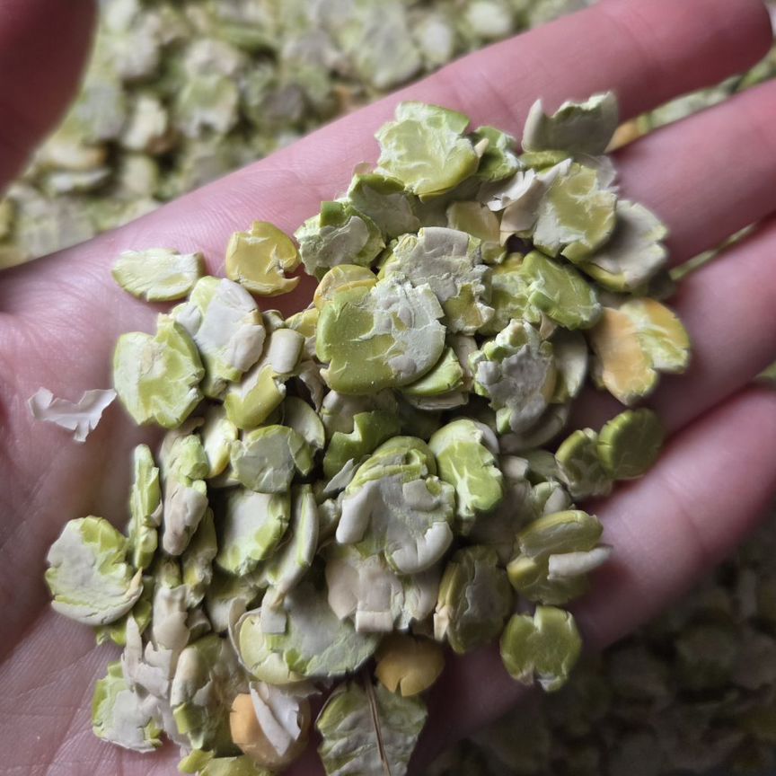 Плющеный горошек лакомство для грызунов