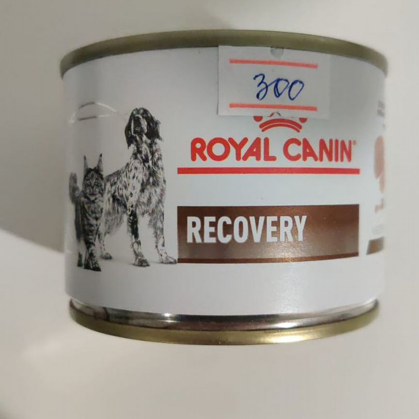 Корм для кошек и собак Royal Canin Recovery