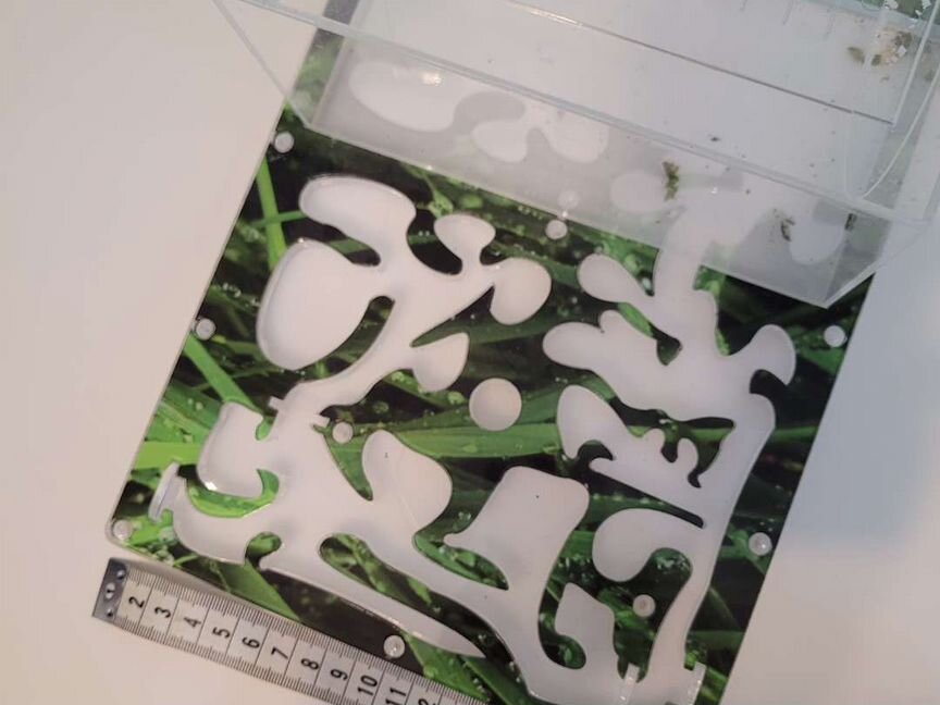 Формикарий муравьиная ферма