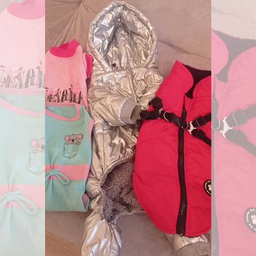 Одежда для собак мелких пород девочка