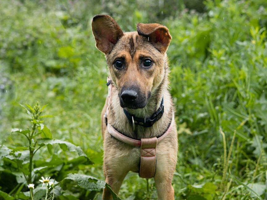 Особенной крошке Мэри из приюта очень нужен дом