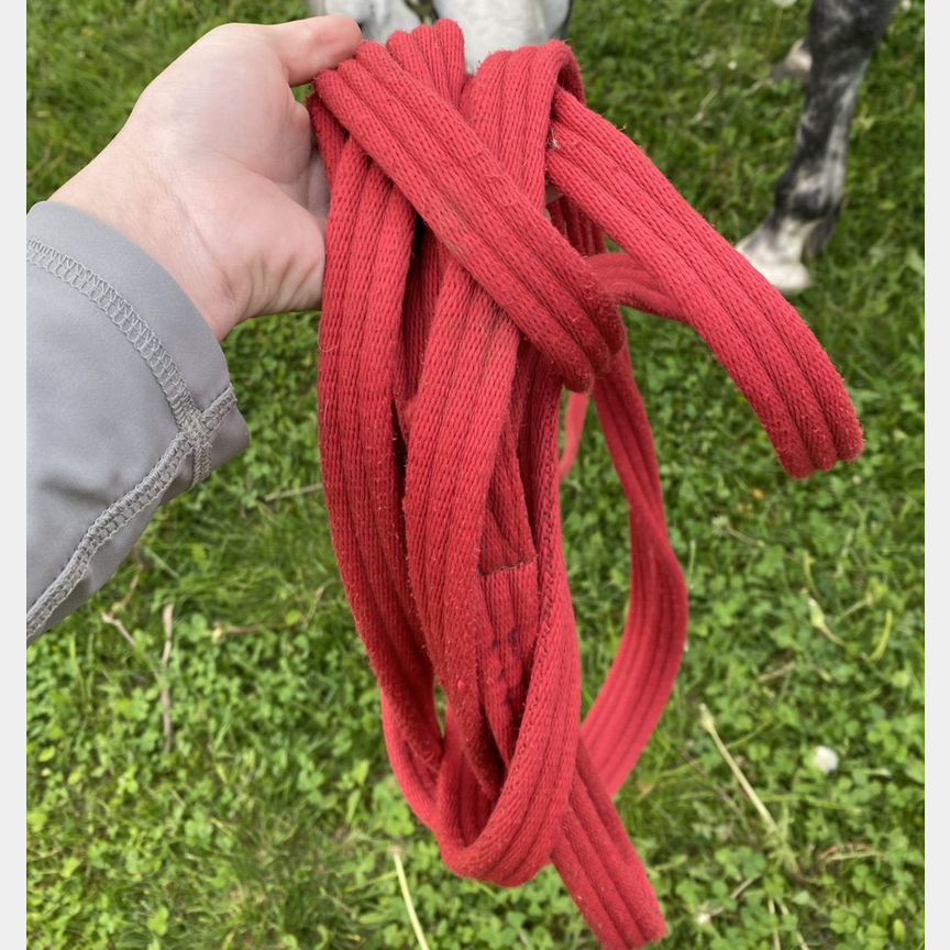 Корда для лошади