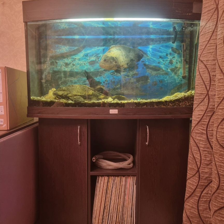 Аквариум с тумбой 180 литров