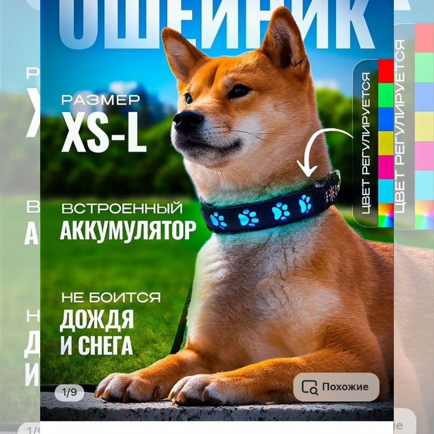 Светящийся ошейник для собак
