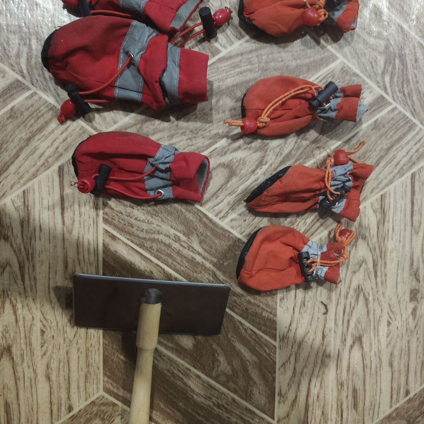 Для собачки обувь