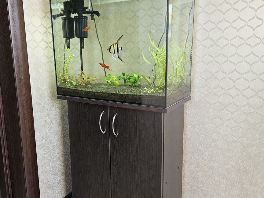 Аквариум 80л с тумбой