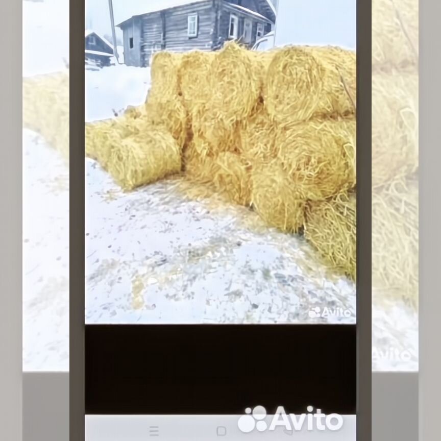 Продам сено в рулонах