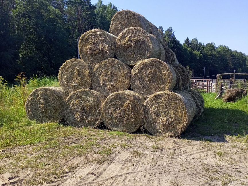 Сено в рулонах