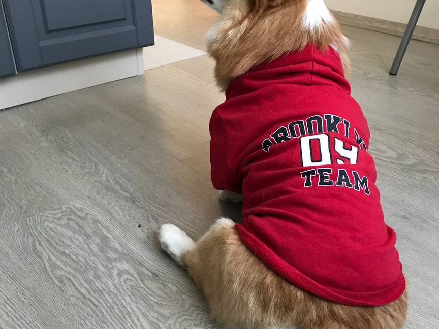 Продам толстовку на животное