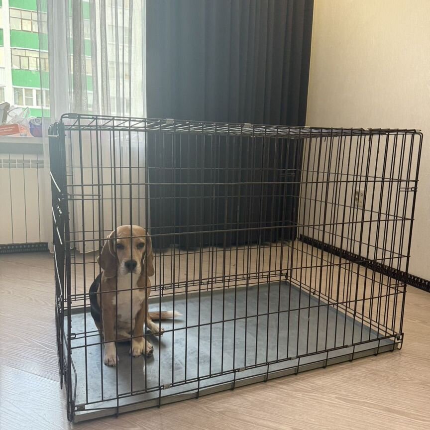 Клетка для собак
