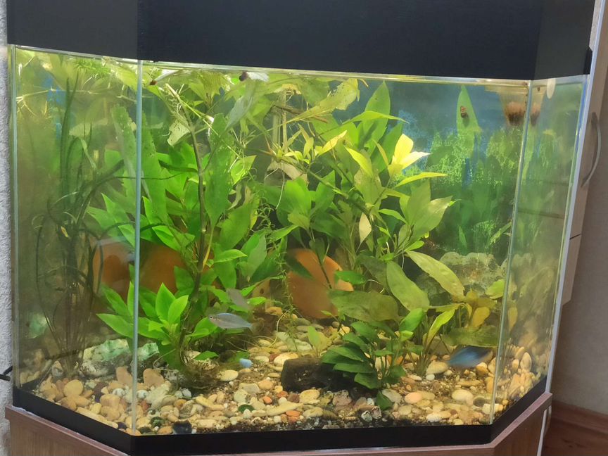 Украшение для аквариума